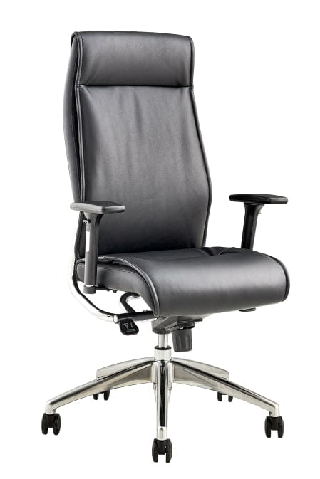 CorpDesign Alto High Back Adjustable Arms– Centerline Dynamics
