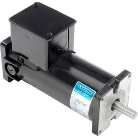 Leeson Motors DC Motor-1/6HP, 1750RPM, TENV, Sq. flange, 90V ...